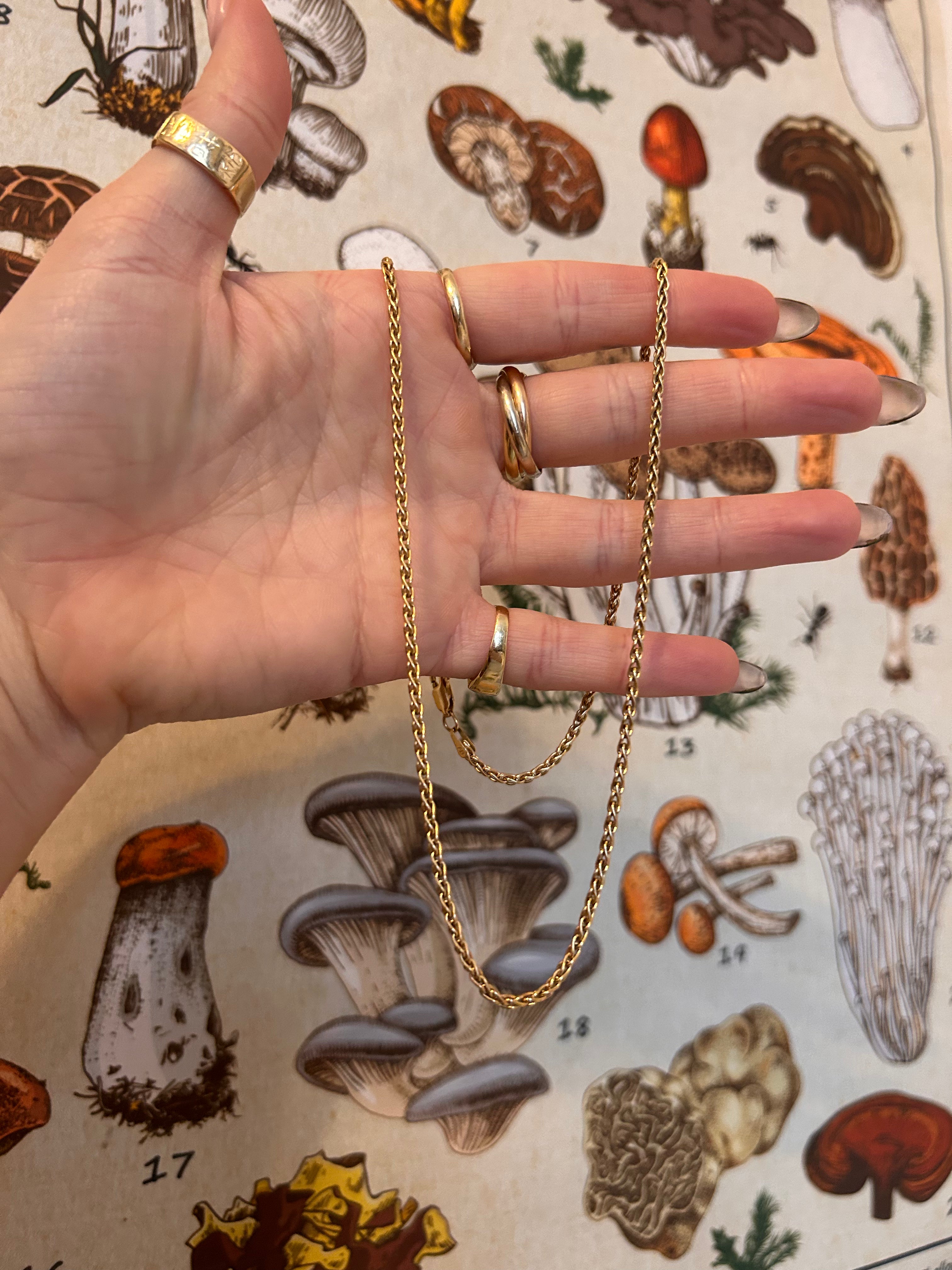 Solid Fishtail Chain – Mel's Treasures